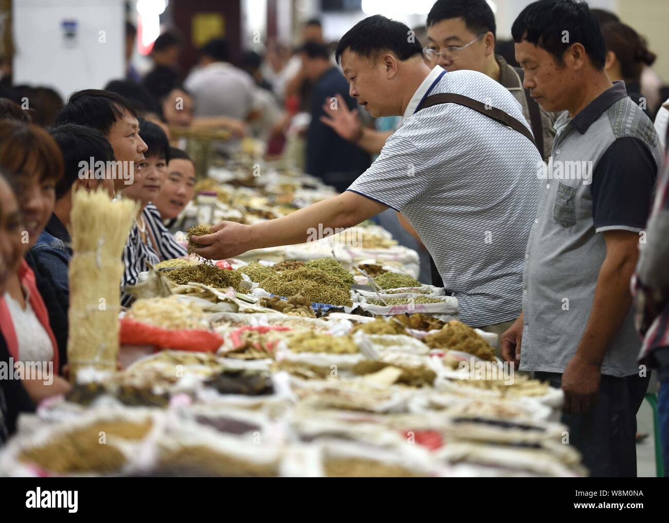 Traditional chinese medicinal materials hi-res stock photography and ...
