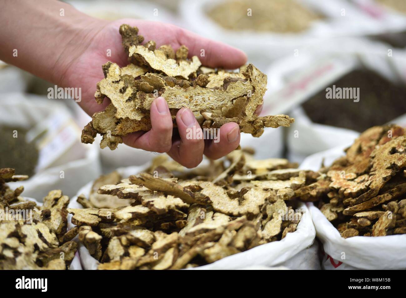 Traditional chinese medicinal materials hi-res stock photography and ...