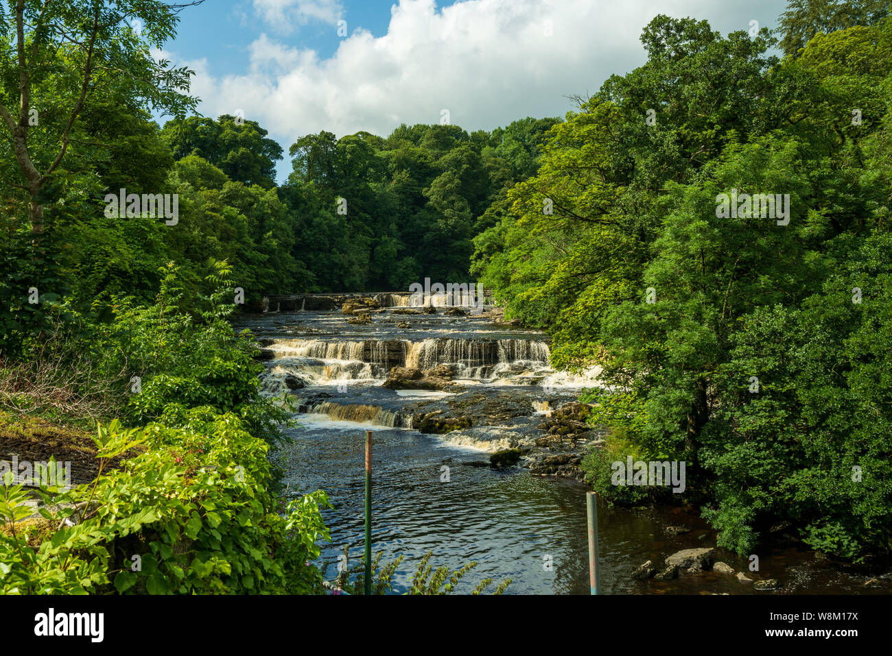 Aysgarth Falls in the Yorkshire Dales National Park are a triple flight ...
