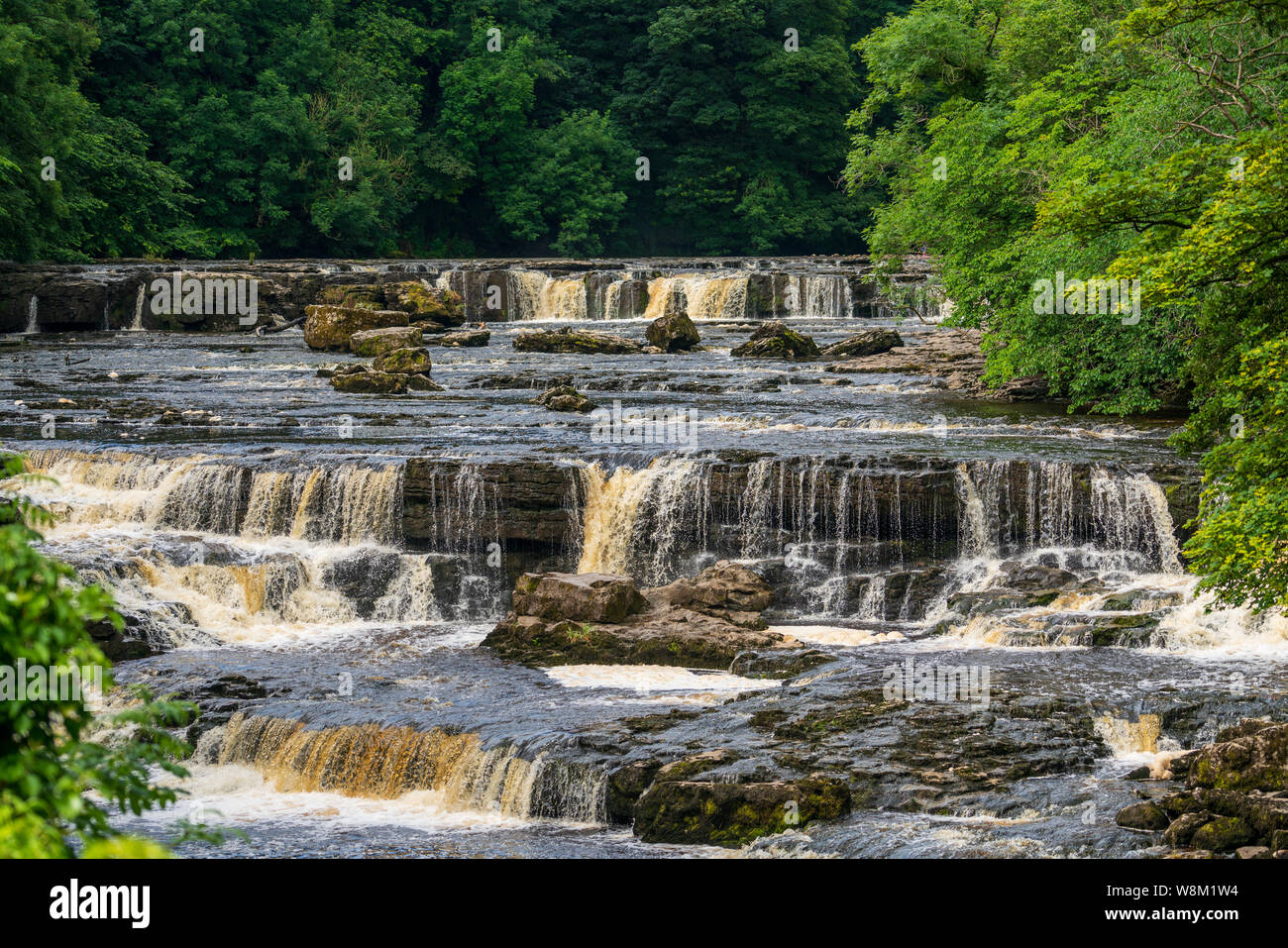 Aysgarth Falls in the Yorkshire Dales National Park are a triple flight ...