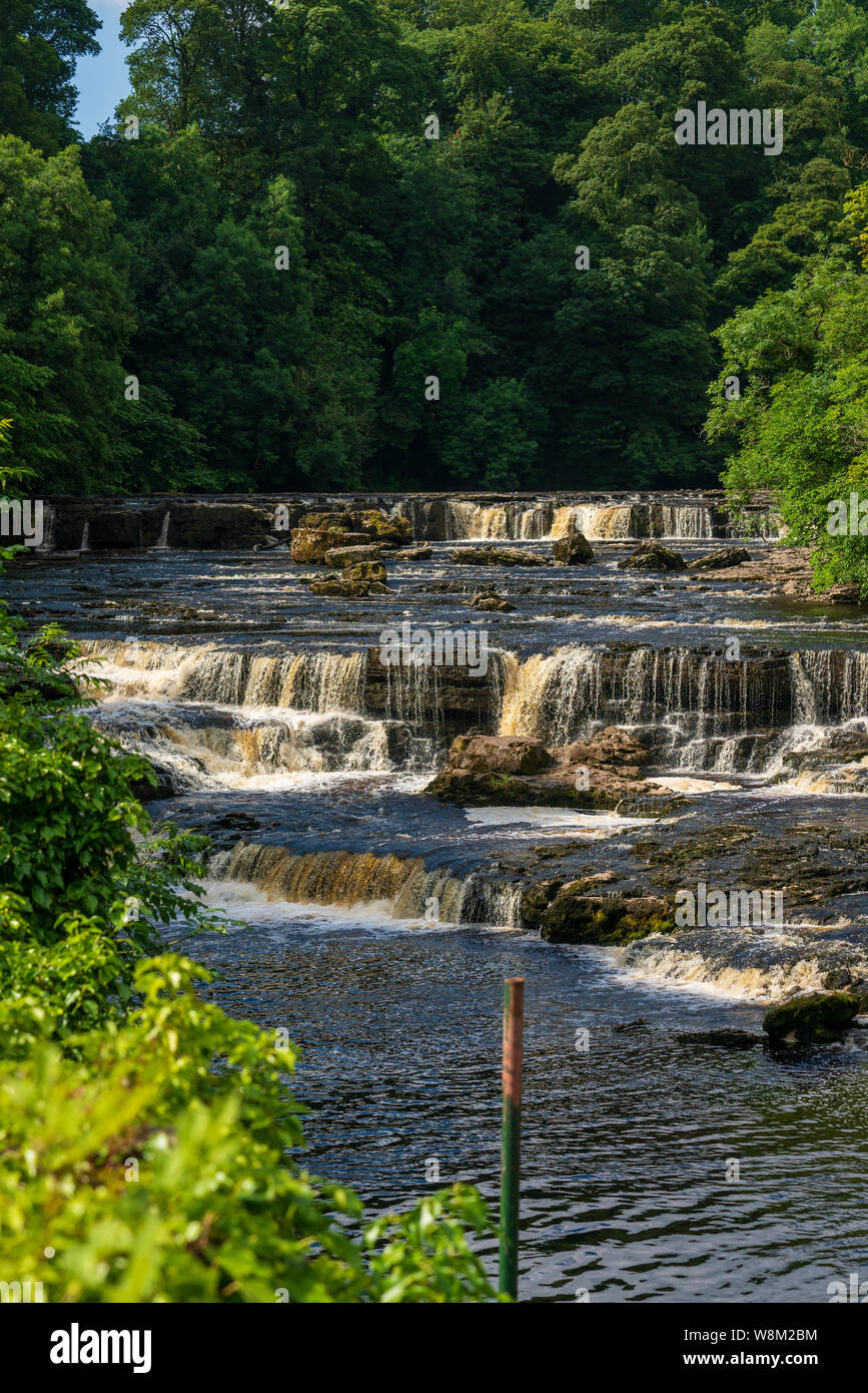 Aysgarth Falls in the Yorkshire Dales National Park are a triple flight ...