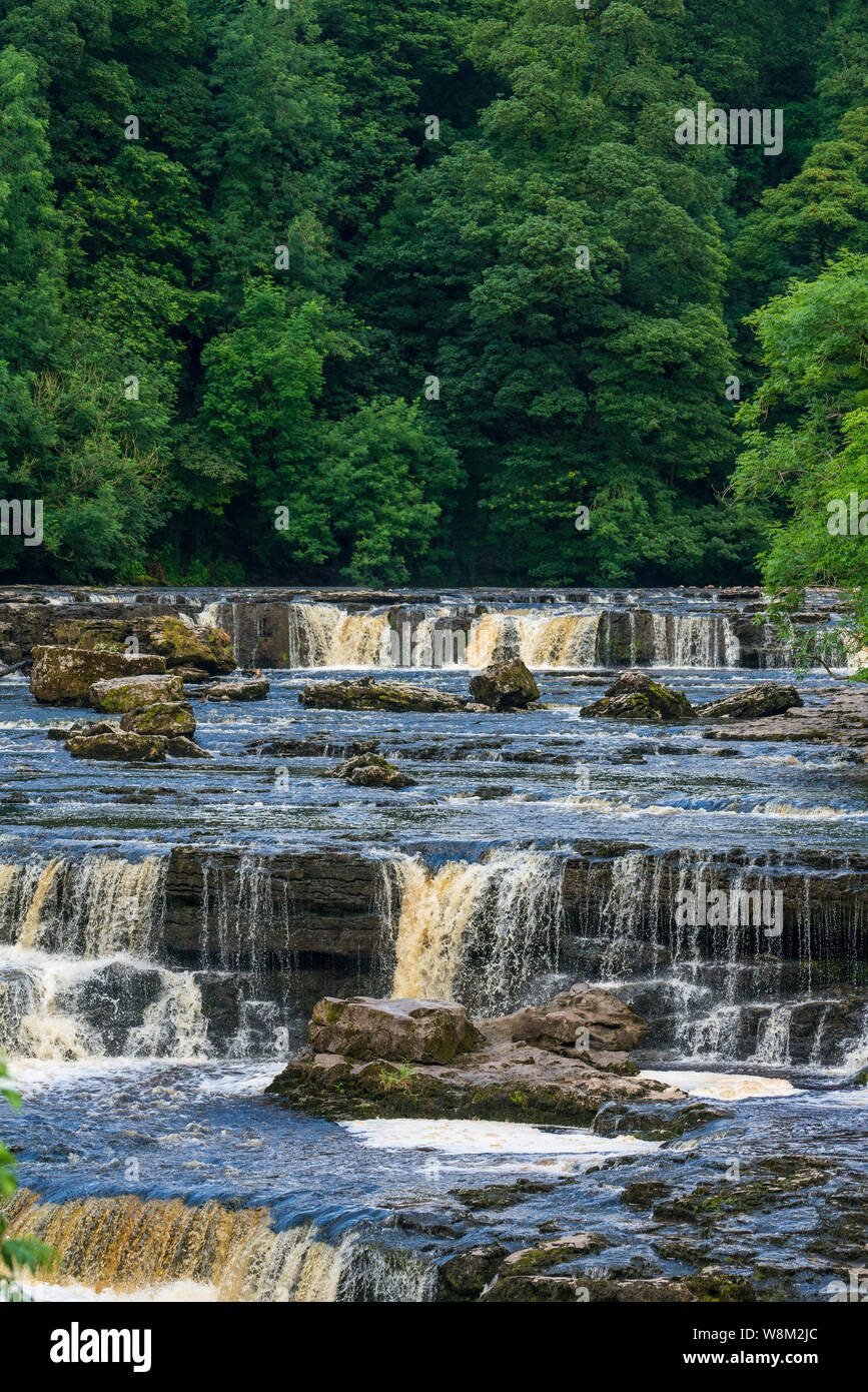 Aysgarth Falls in the Yorkshire Dales National Park are a triple flight ...