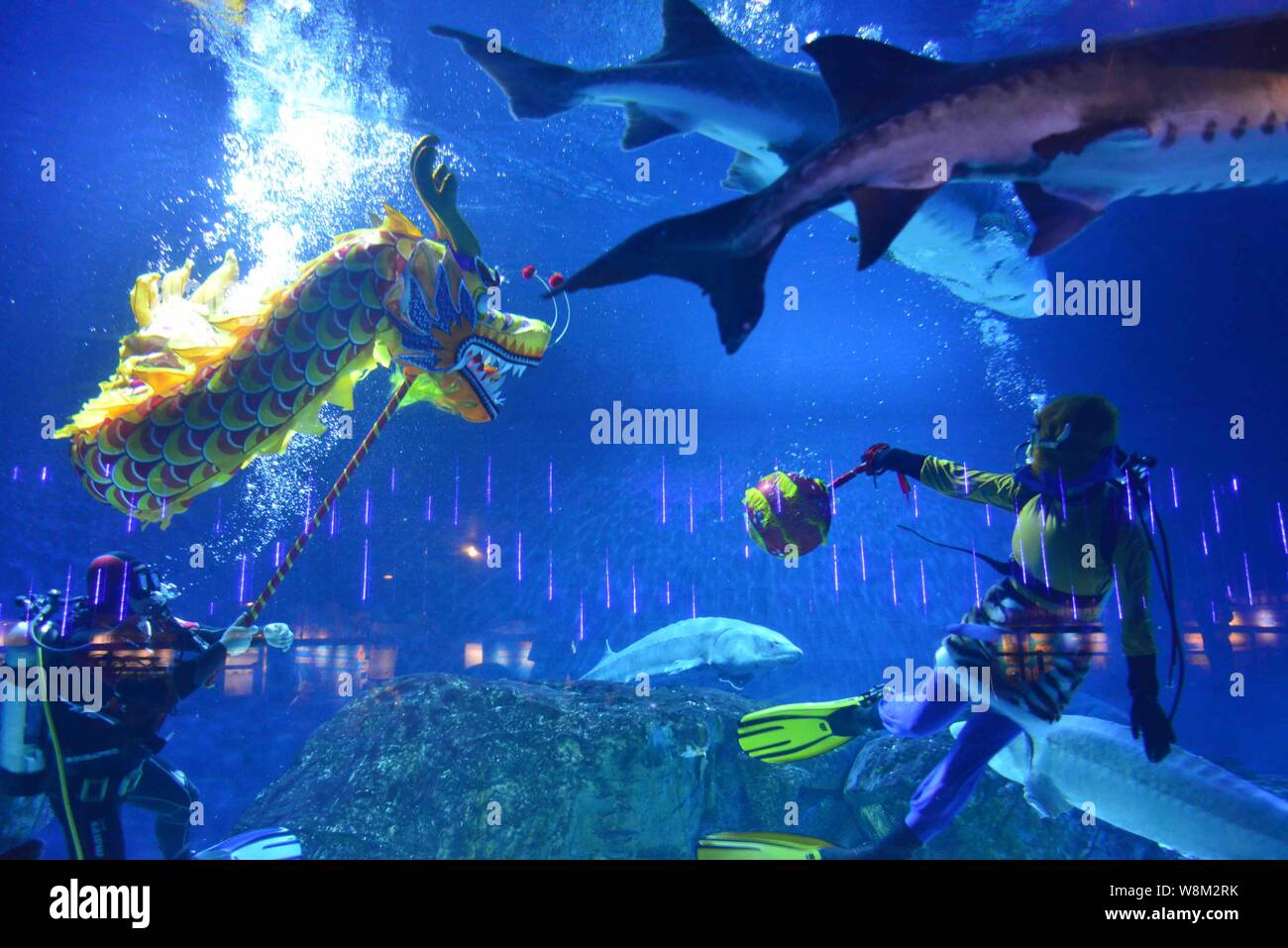 Underwater dragon dance hi-res stock photography and images - Alamy