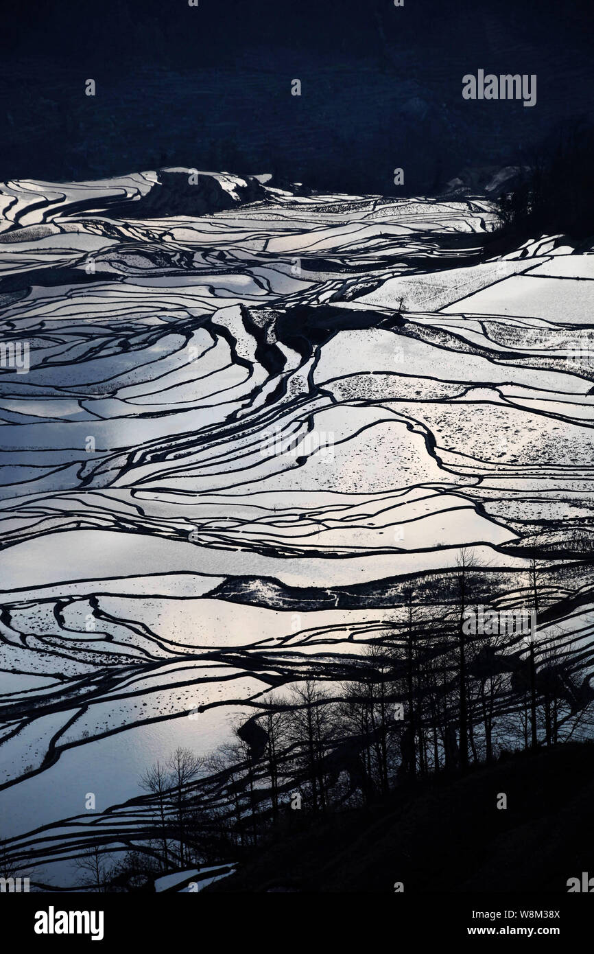Landscape of terraced rice fields of the Honghe Hani Rice Terraces, one ...