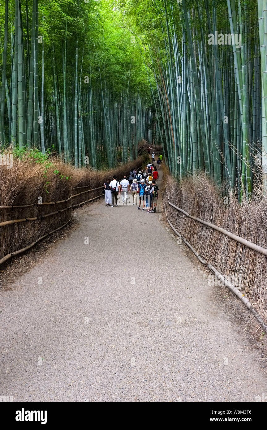 The sagano bamboo forest hi-res stock photography and images - Alamy