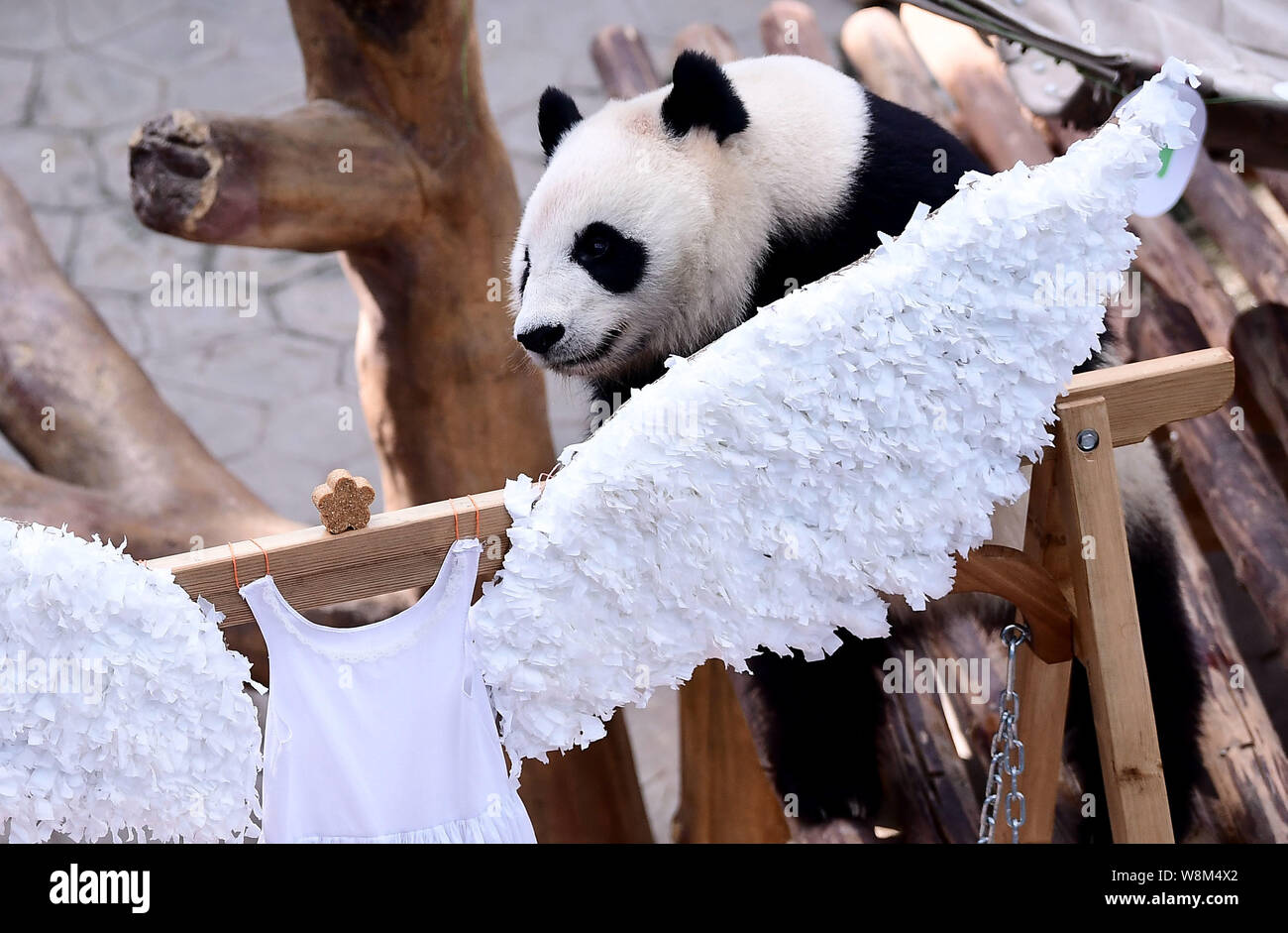 Bing hua hi-res stock photography and images - Alamy