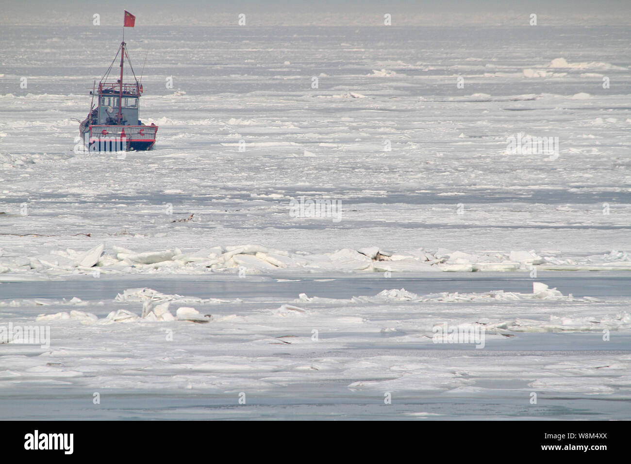 A fishing boat is trapped in sea ice in a port in Penglai city, east ...