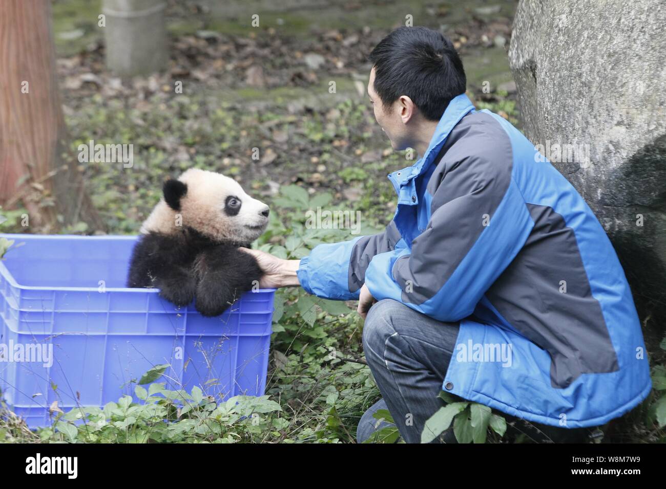 Female zoo keeper hi-res stock photography and images - Alamy