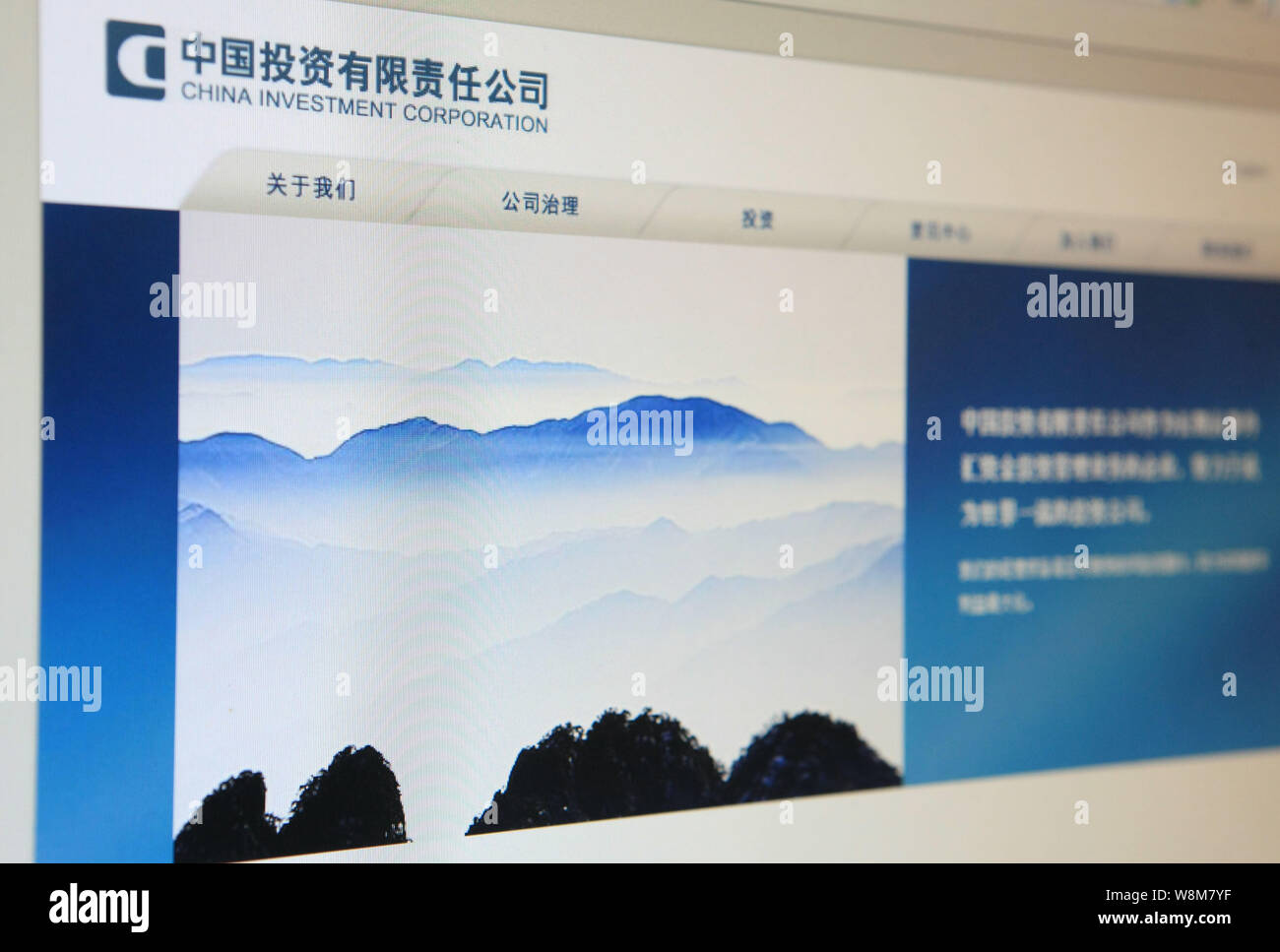 --FILE--A Chinese netizen browses the website of China Investment ...
