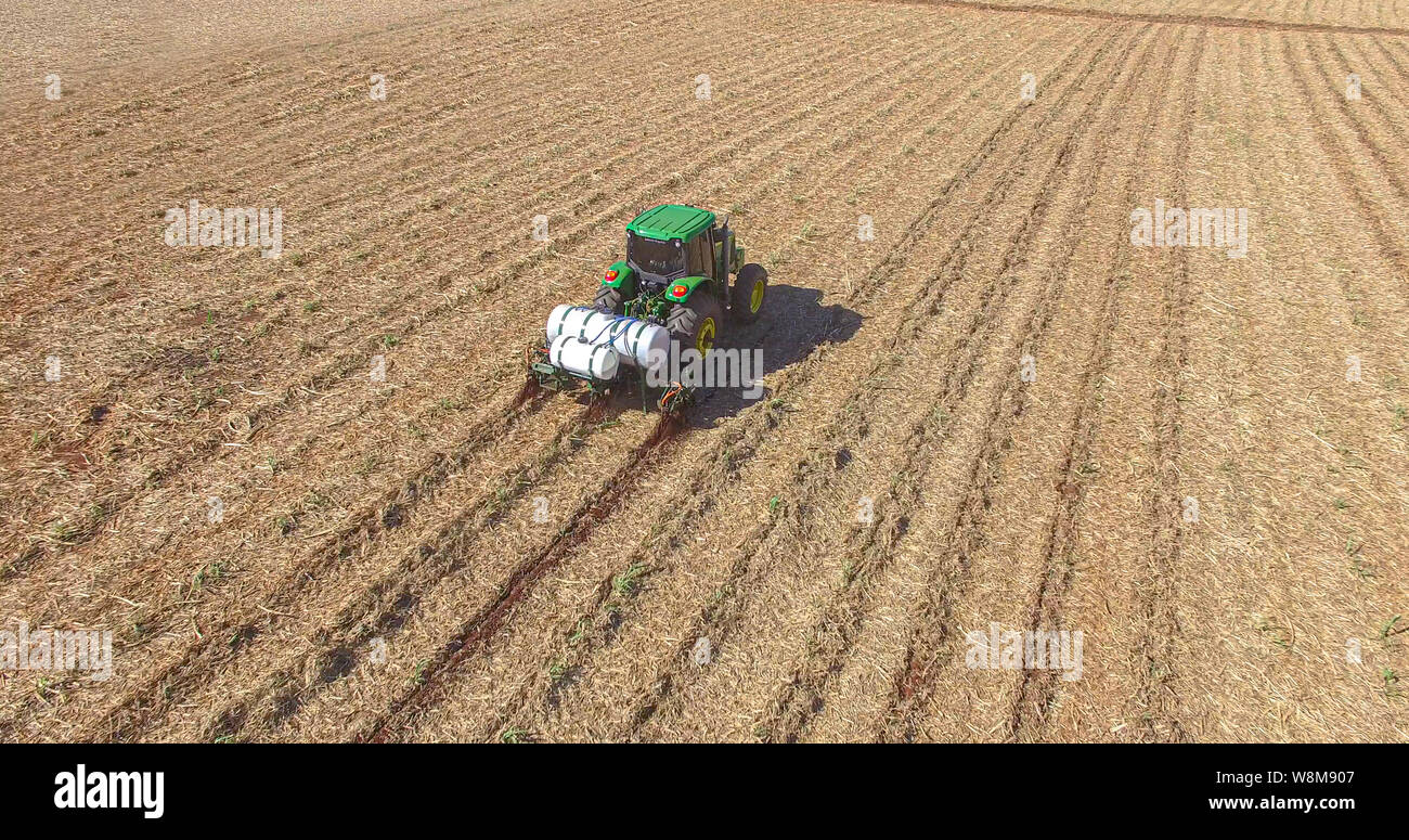 sugarcane planting by applying fertilizer and insecticides with tractor ...