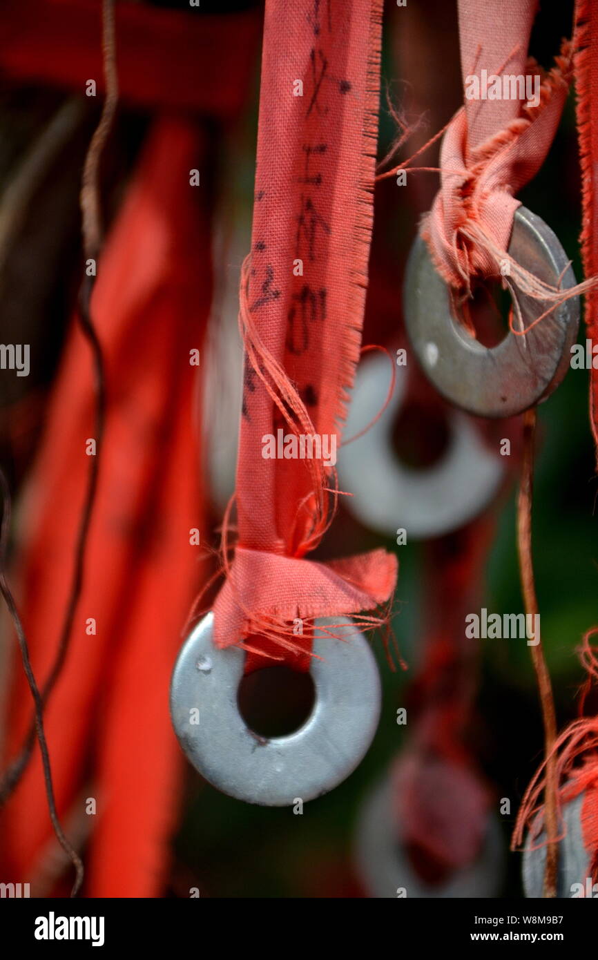 Wishing tree with coins in Sekinchan, Selangor, Malaysia Stock Photo ...