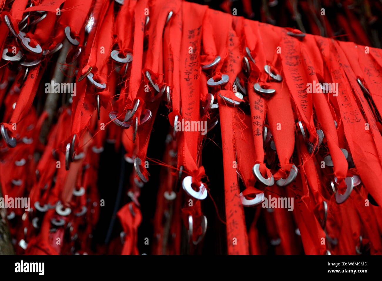 Wishing tree with coins in Sekinchan, Selangor, Malaysia Stock Photo ...