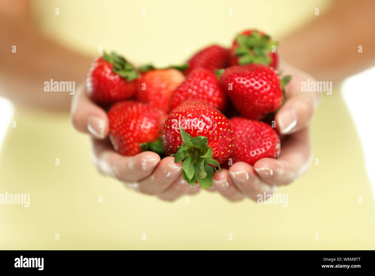 Closeup Of Women Cupped Hands Holding Many Fresh Strawberries Female