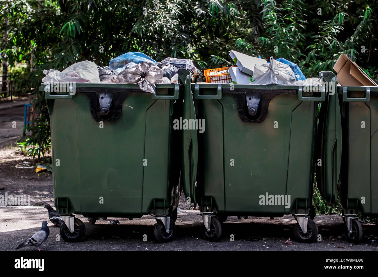 Garbage bins in a row near green trees in a city on asphalt Stock Photo ...
