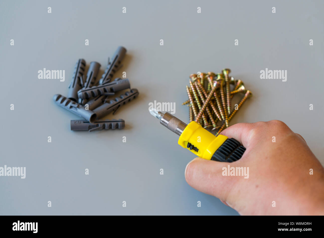 Male hand with a screwdriver for screws and dowels on a gray background ...