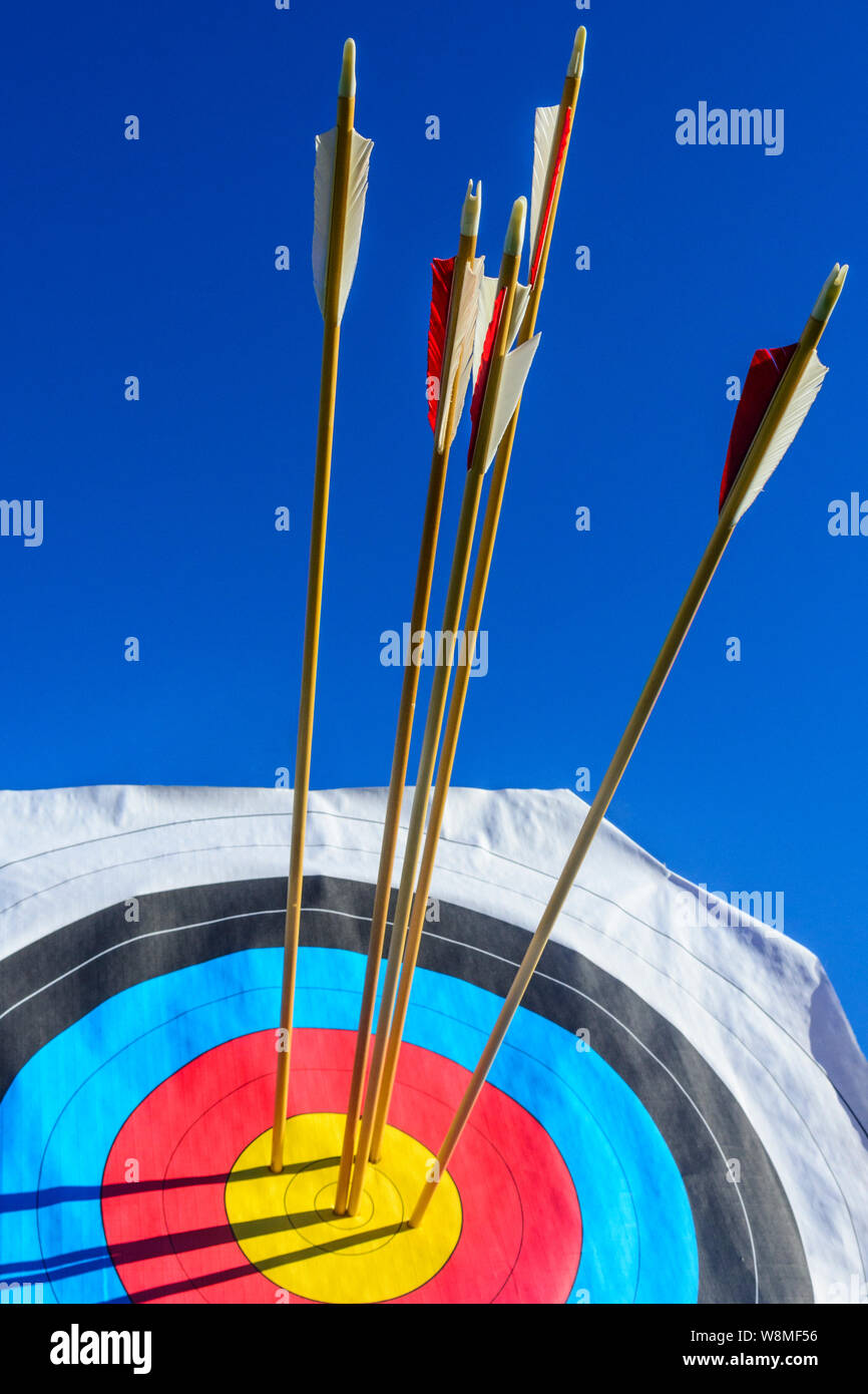 Many arrows in target Stock Photo - Alamy