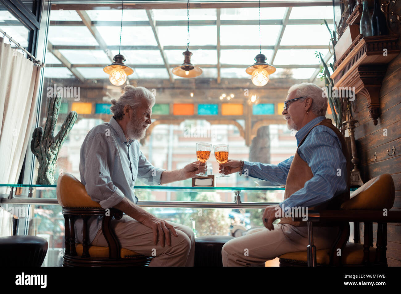 Two retired men clanging their glasses while chilling in pub Stock ...