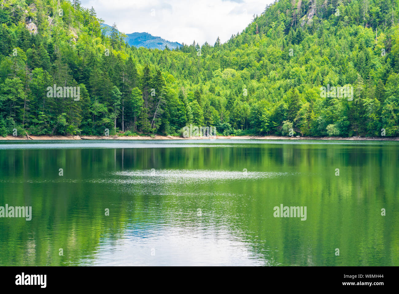 Nussensee lake in Upper Austria located near Bad Ischl in the ...