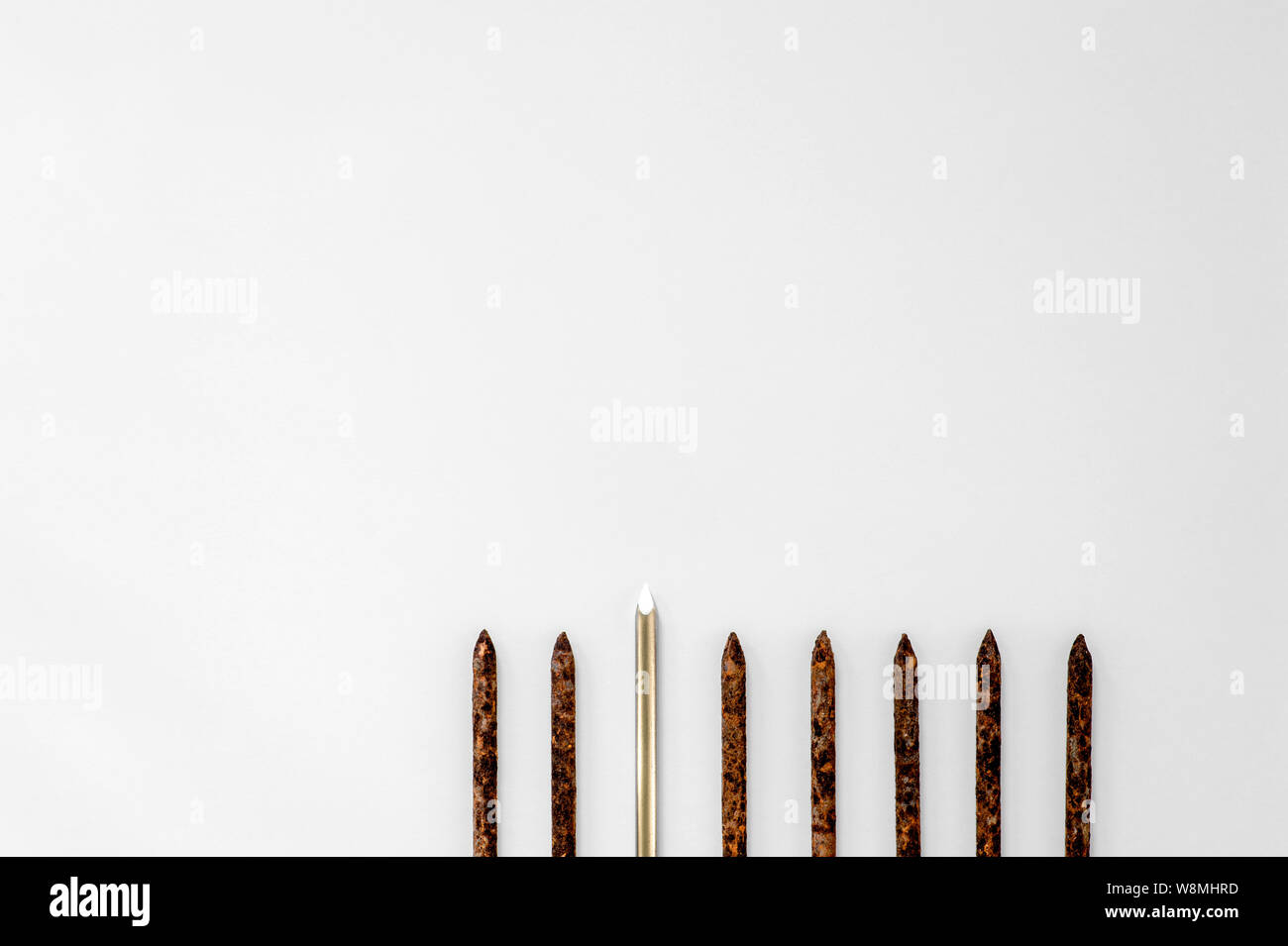 Metal shiny sharp nail stands out in a row of old rusty nails on a ...