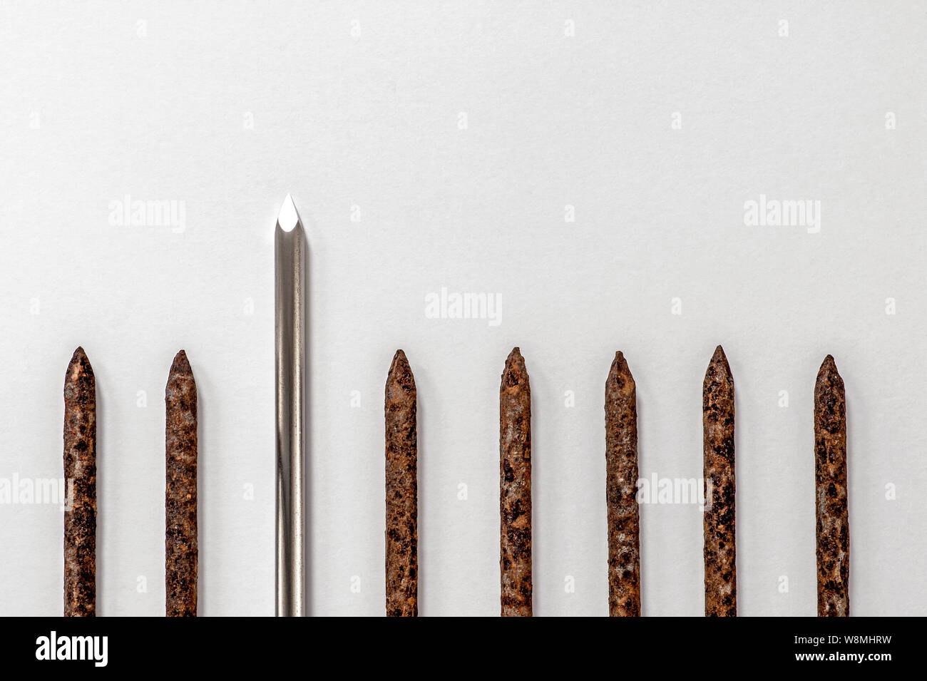 Metal shiny sharp nail stands out in a row of old rusty nails on a ...