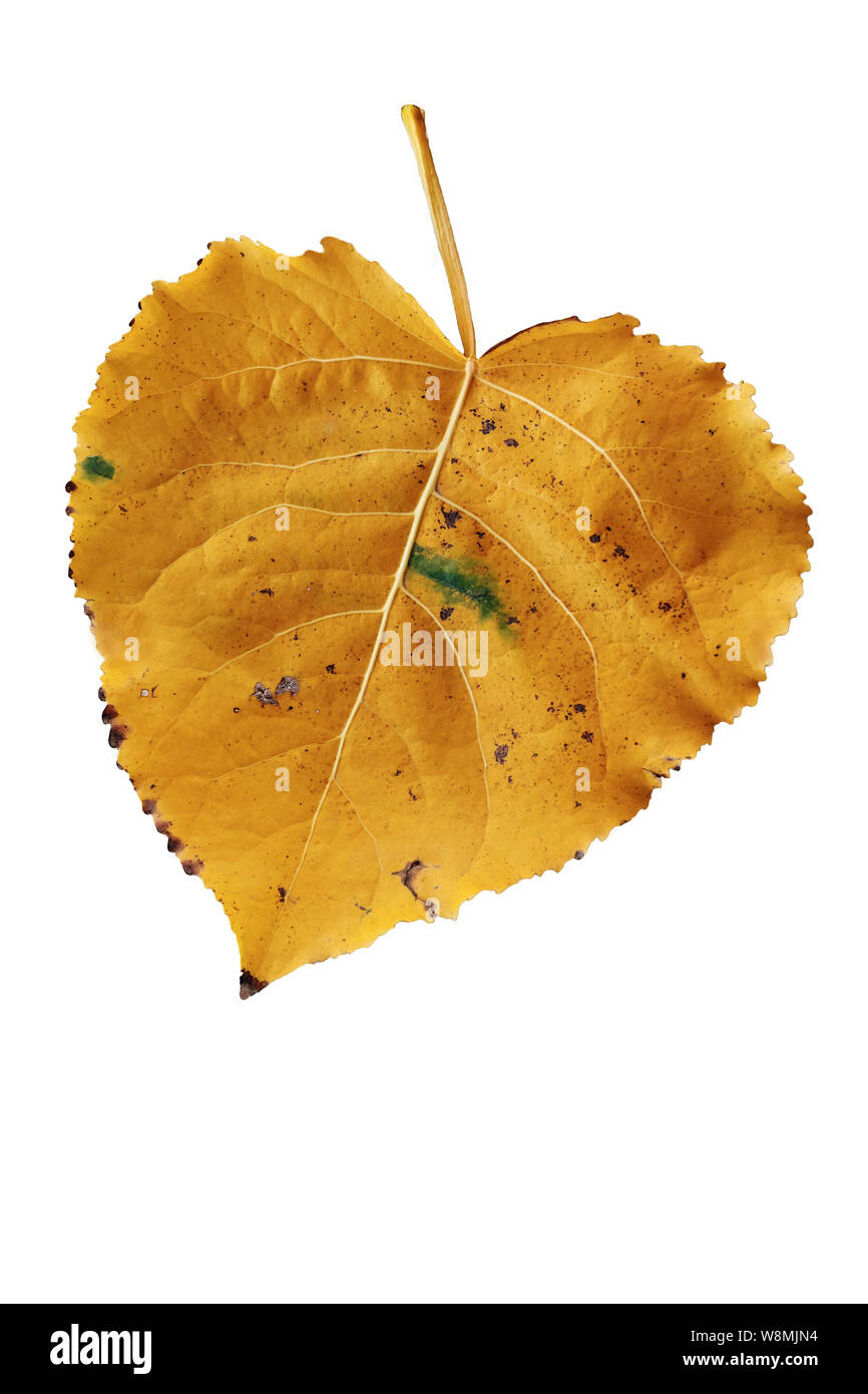 Glossy colors Cut Out Stock Images & Pictures - Alamy