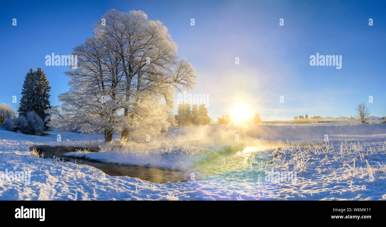 November winter hi-res stock photography and images - Alamy