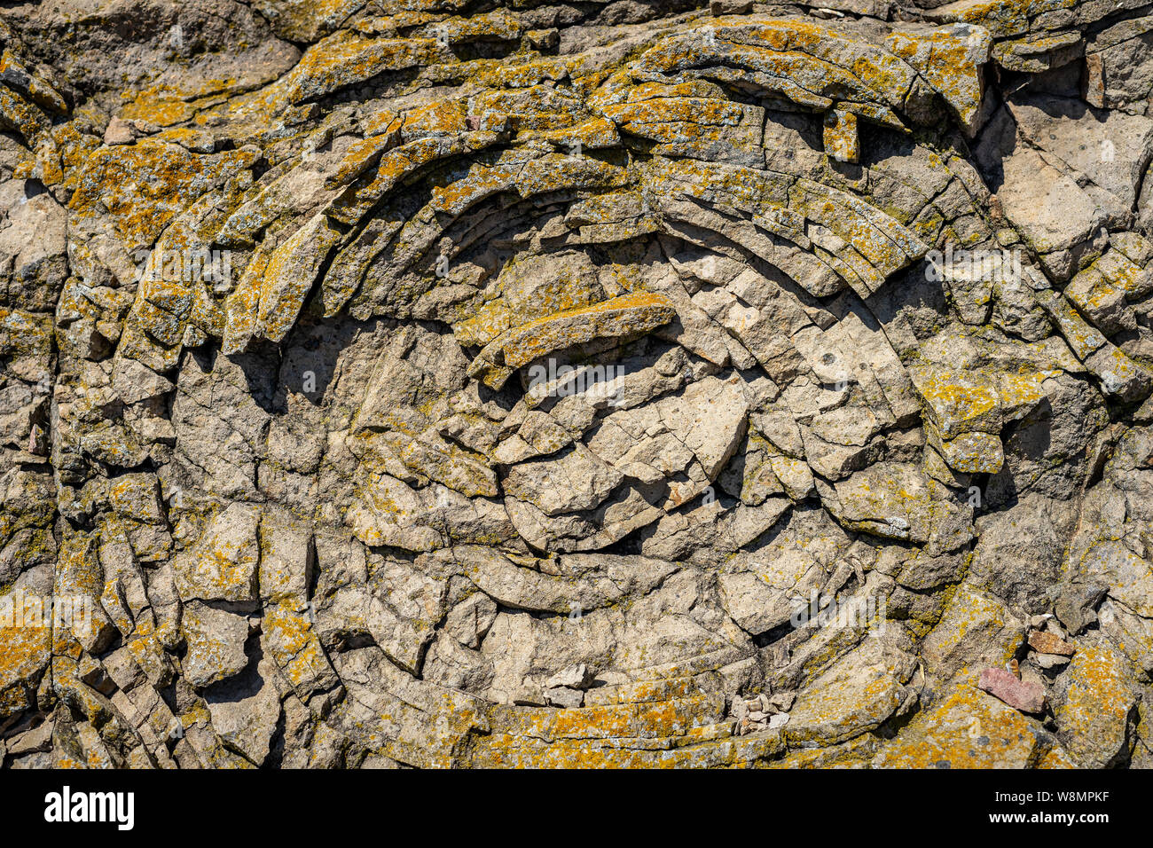 Sedimentary rock. Structure of natural stone. Background Stock Photo ...