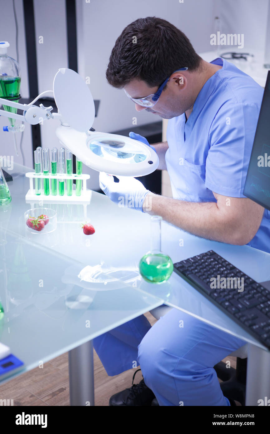 Young man in a research lab doing test on a strawberry in a agriculture ...