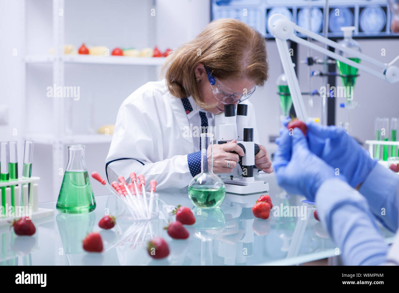 Biotechnology lab strawberry hi-res stock photography and images - Alamy