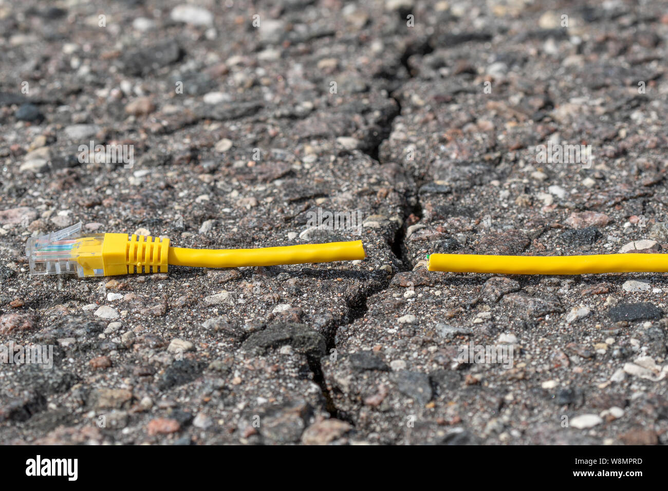 Cuted internet cable is divided by crack in asphalt road. Internet ...