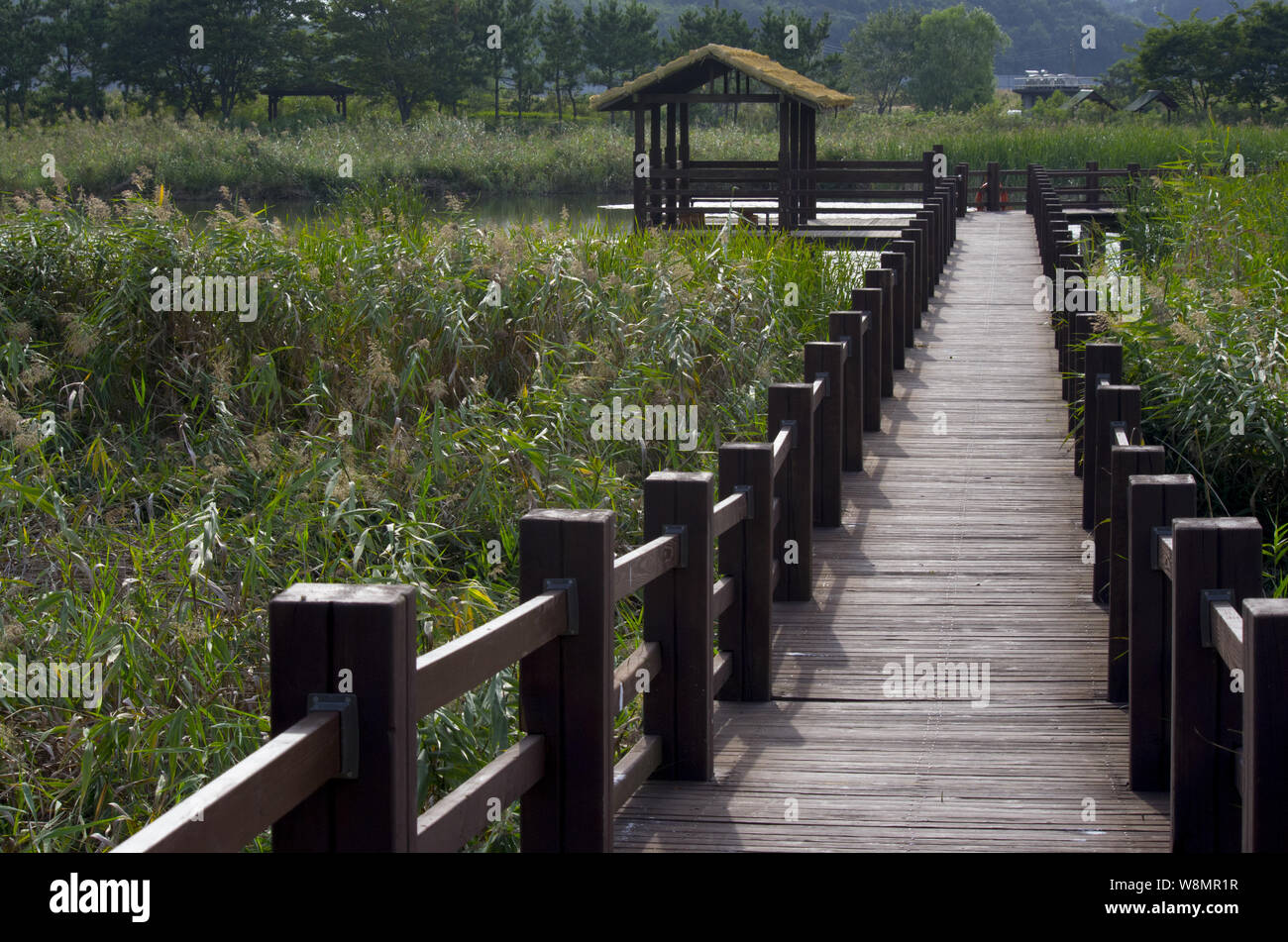 wood bridge on the lake Stock Photo - Alamy