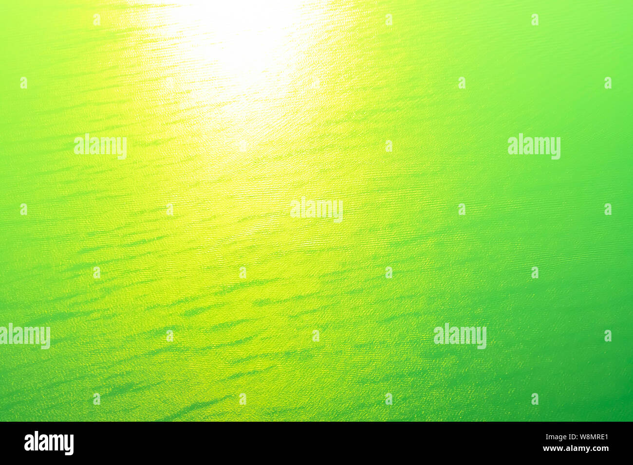 Envirinment green color concept: Sun light and abstract green and ...