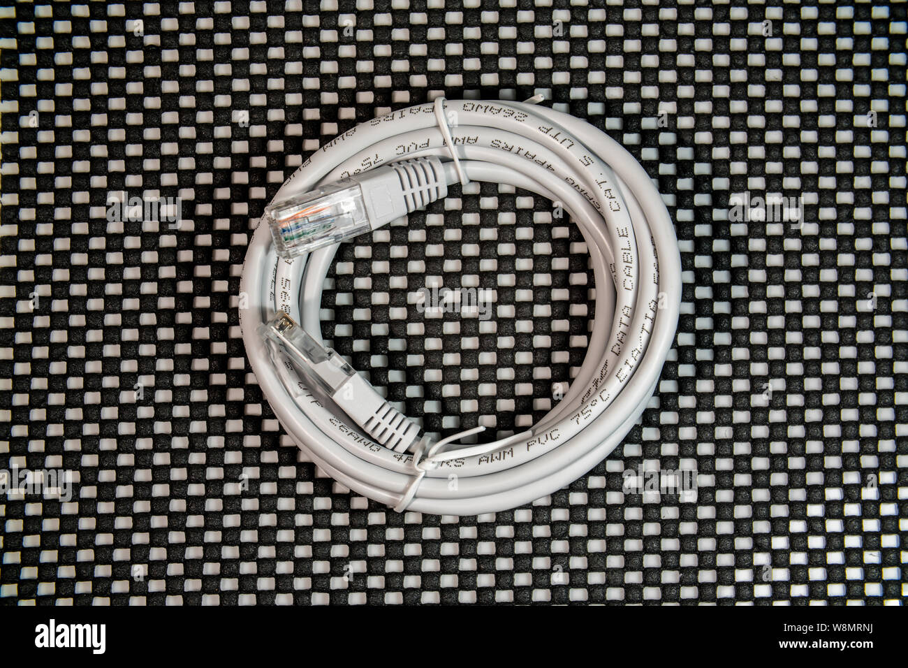 Gray lan cable and connector on black and white background Stock Photo ...