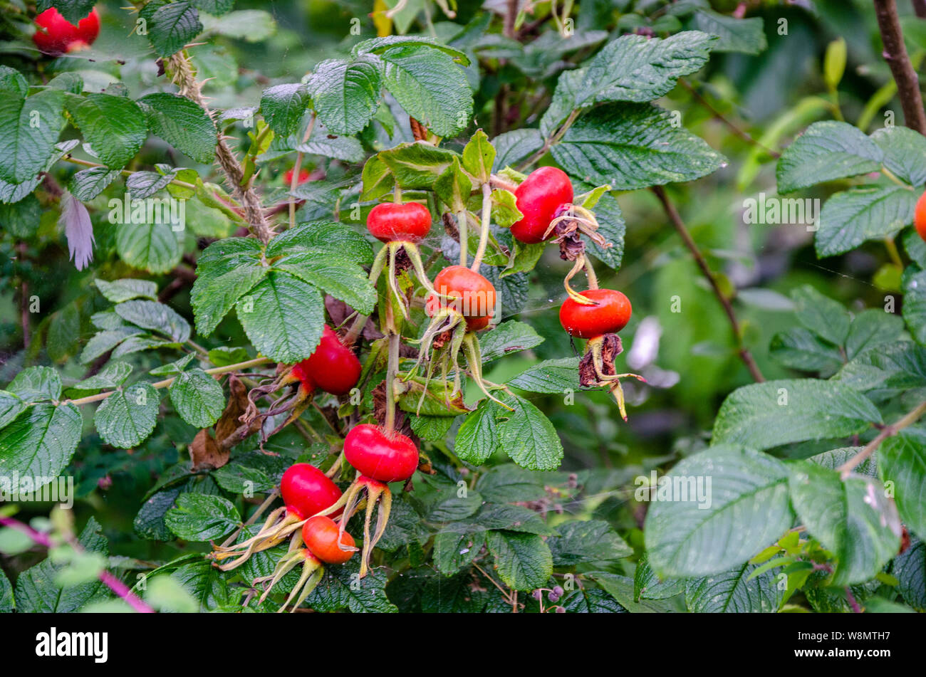 Turning heads hi-res stock photography and images - Alamy