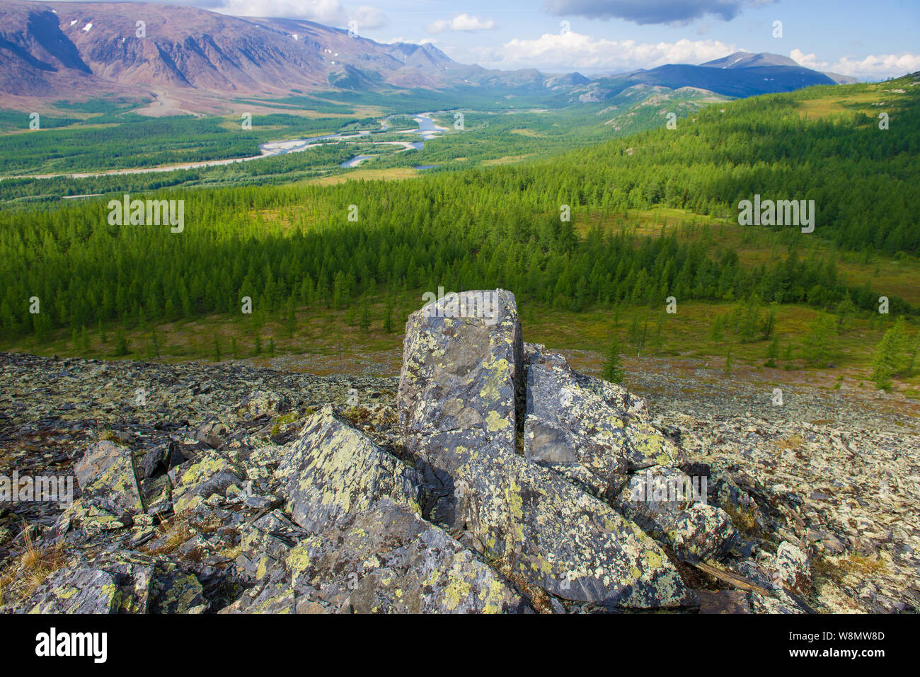 Ural arctic hi-res stock photography and images - Alamy