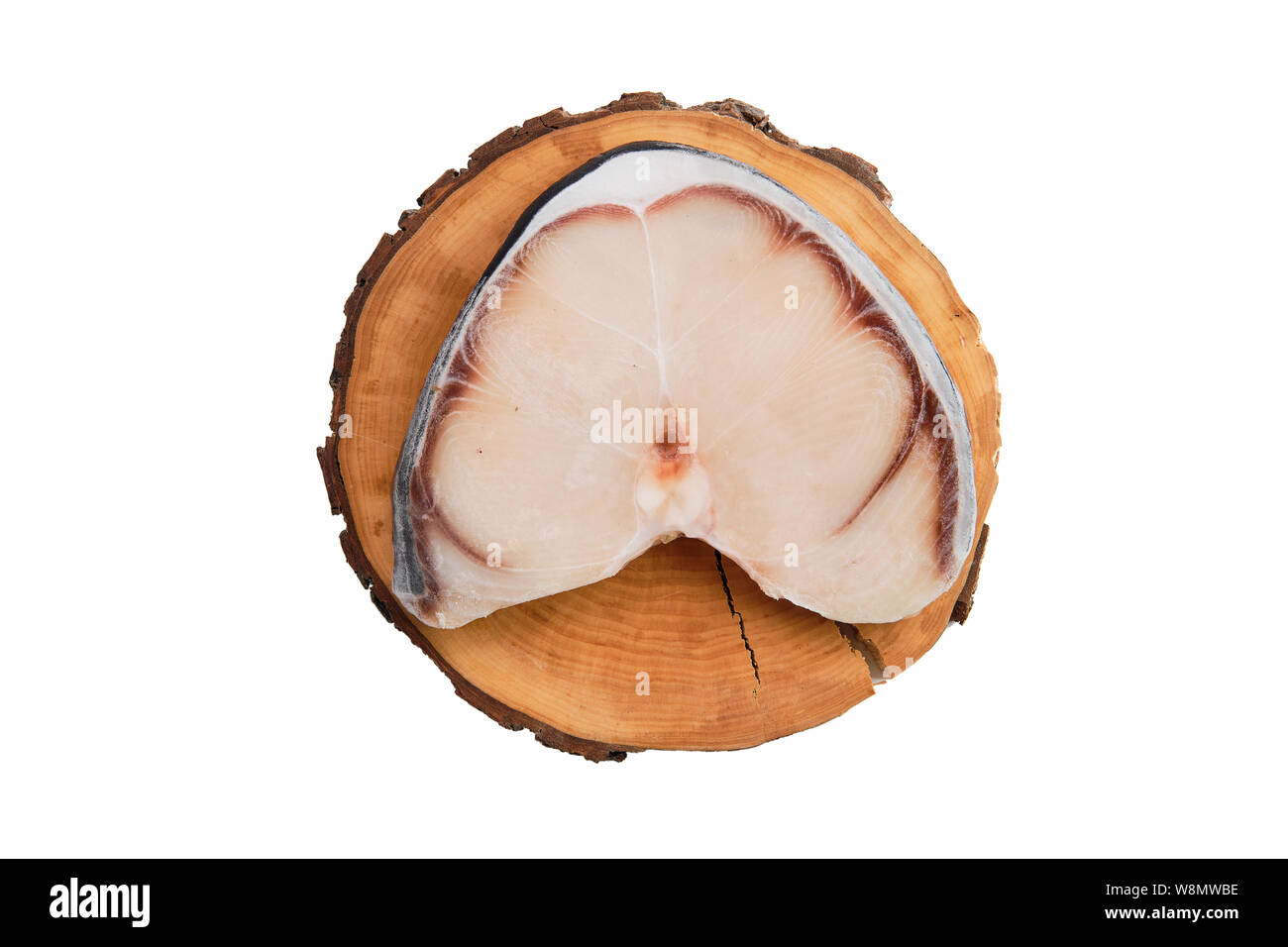 Shark blue on white Cut Out Stock Images & Pictures - Alamy