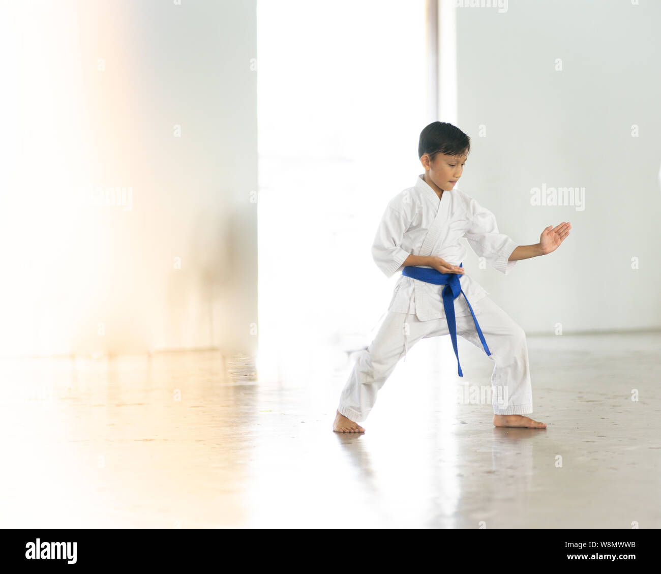 Young boy in blue belt training karate Stock Photo - Alamy