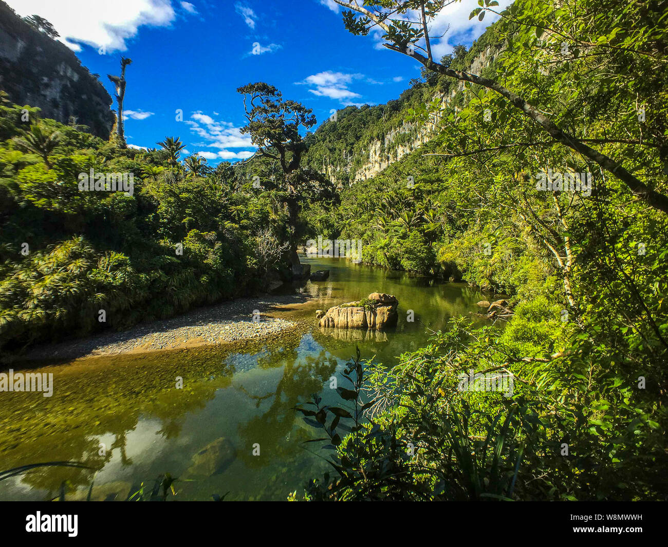 A wide stream weaves its way through native New Zealand bush against a ...