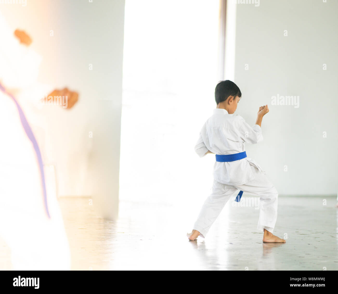 Karate Jump Kick Kid