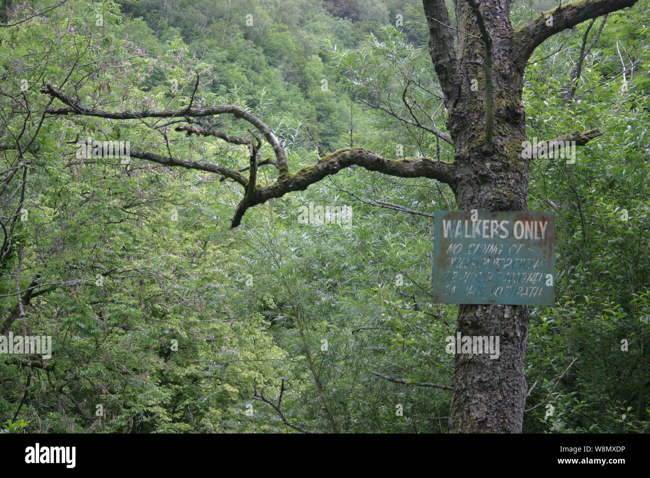 'Walkers Only' sign in the Peak District Stock Photo - Alamy