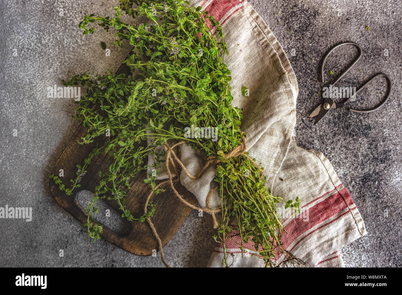 Cooking concept with traditional georgian herb local oregano - ombalo ...