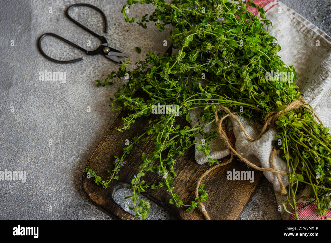 Cooking concept with traditional georgian herb local oregano - ombalo ...