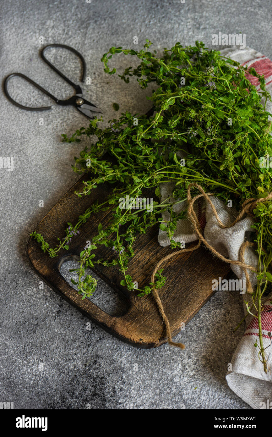 Cooking concept with traditional georgian herb local oregano - ombalo ...