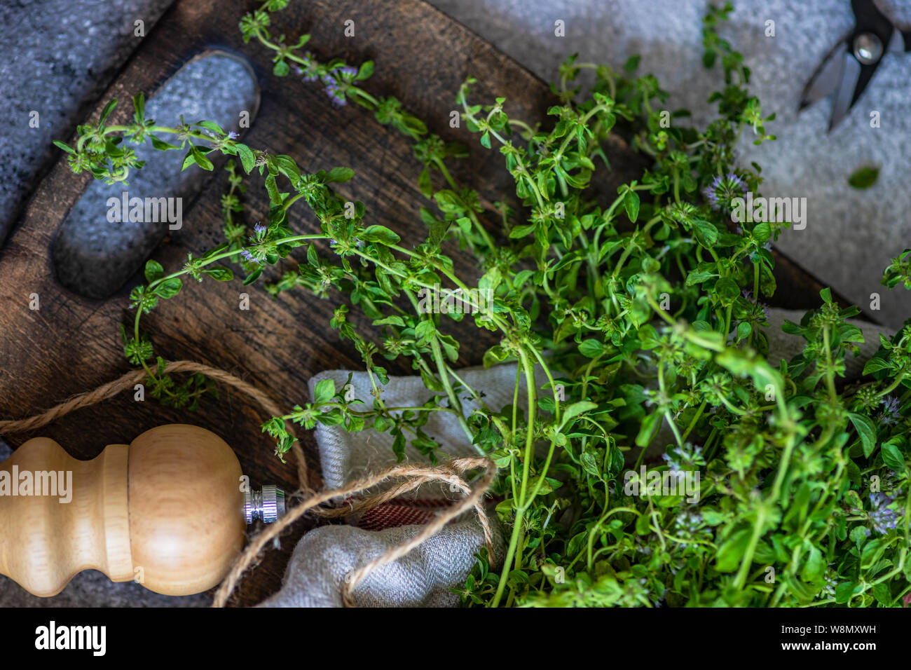 Cooking concept with traditional georgian herb local oregano - ombalo ...