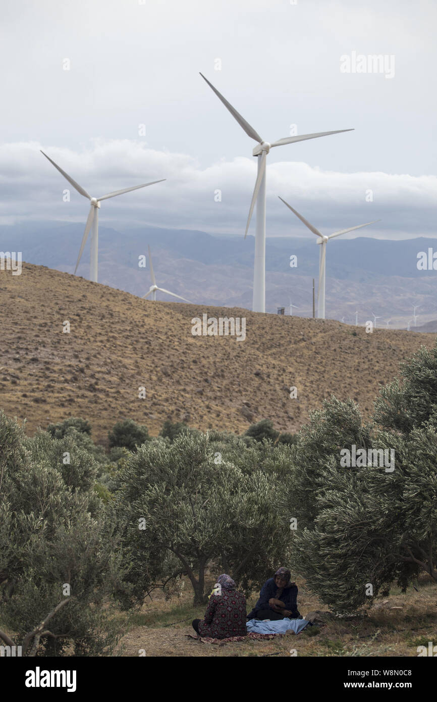 Niroo hi-res stock photography and images - Alamy