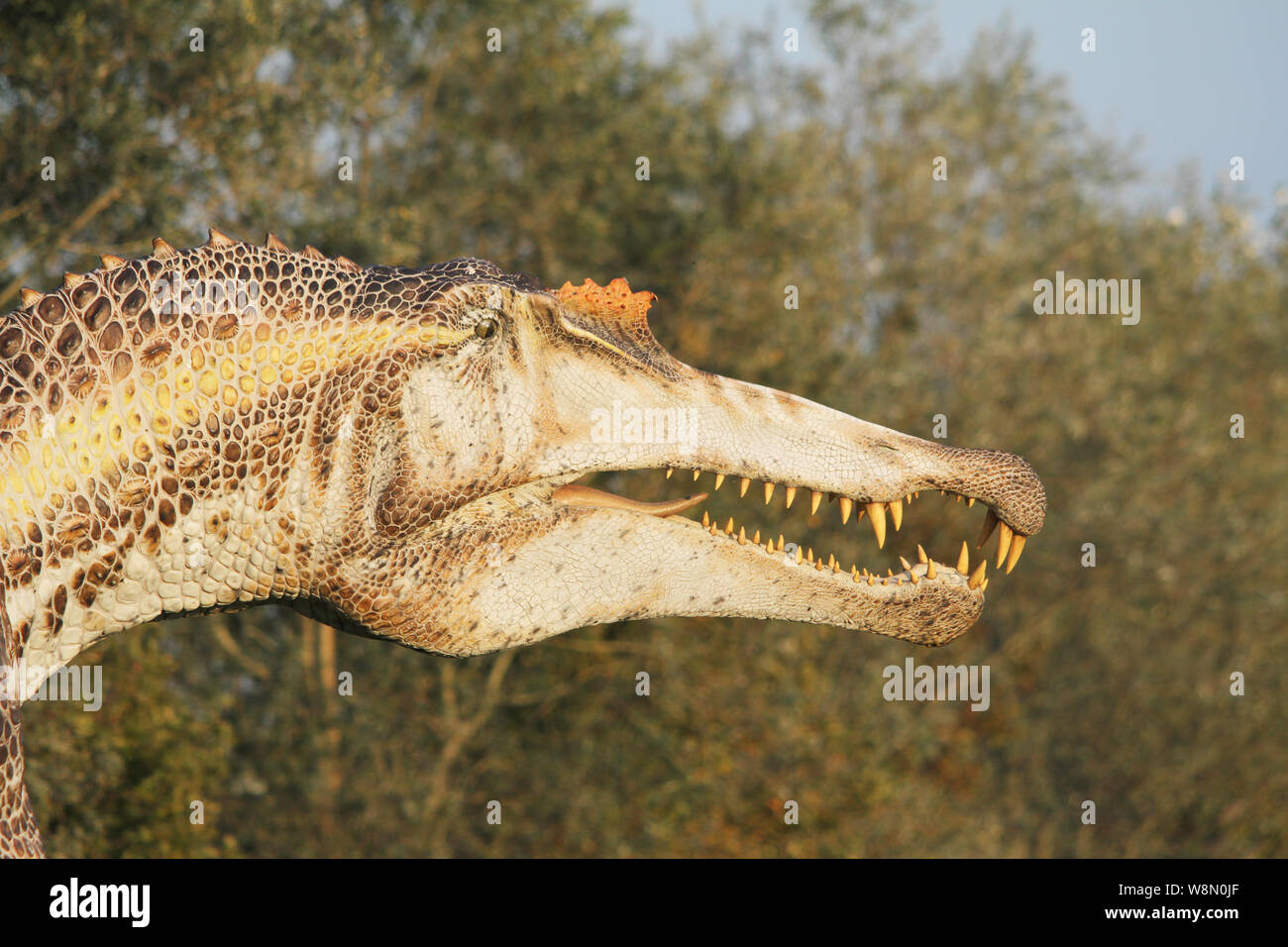 realistic copy of spinosaur in a natural environment Stock Photo - Alamy