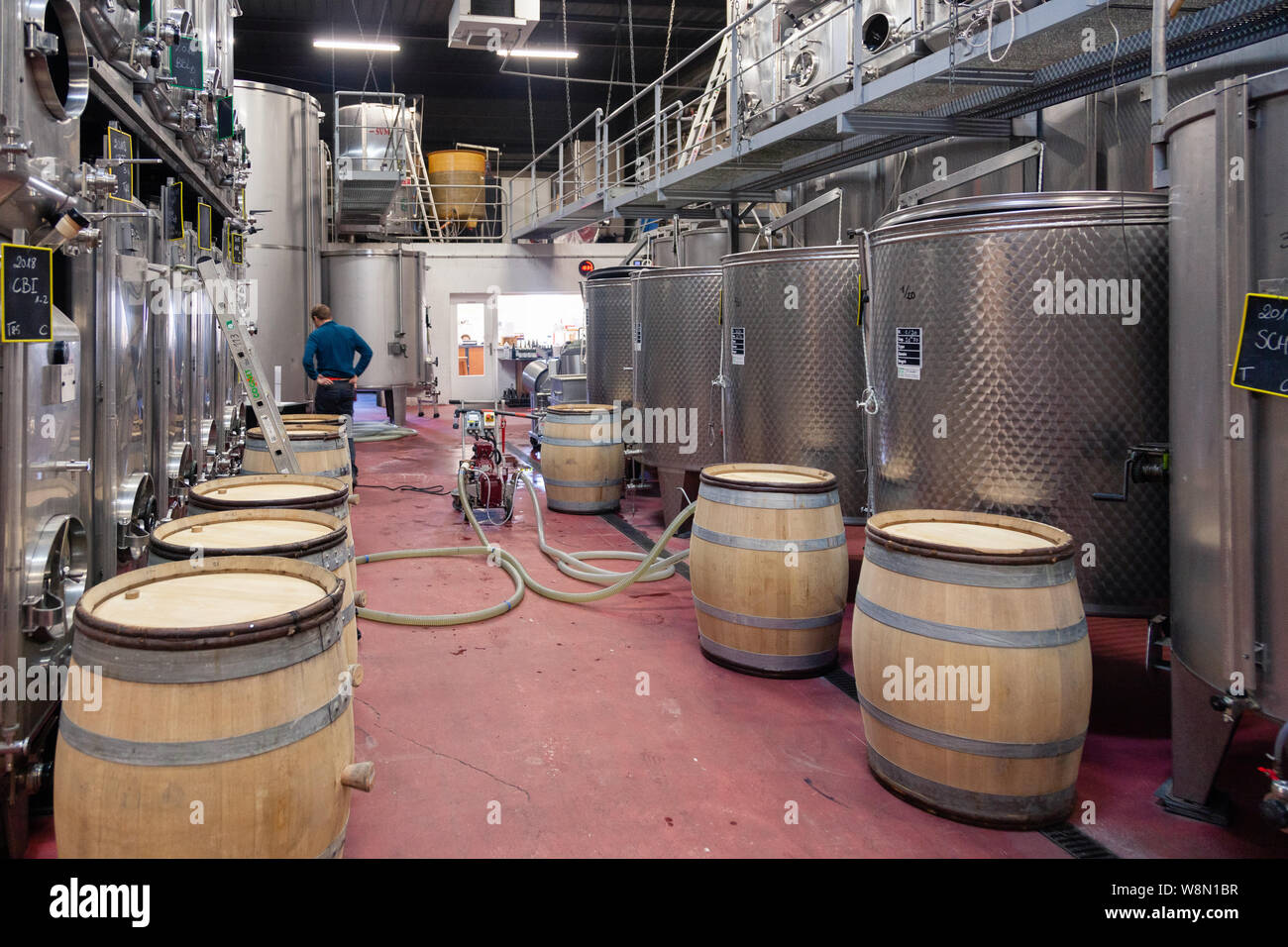 Modern wine cellar, factory with large metallic clean shine stainless ...