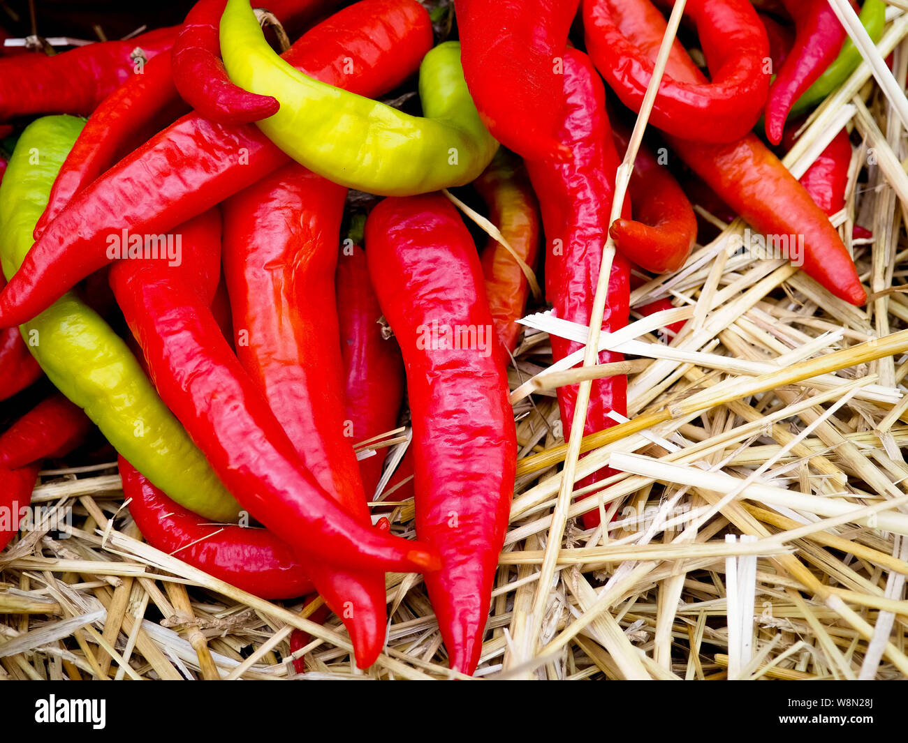 Heap Of Ripe Big Red Peppers At A Street Market, ripe red, green chili ...