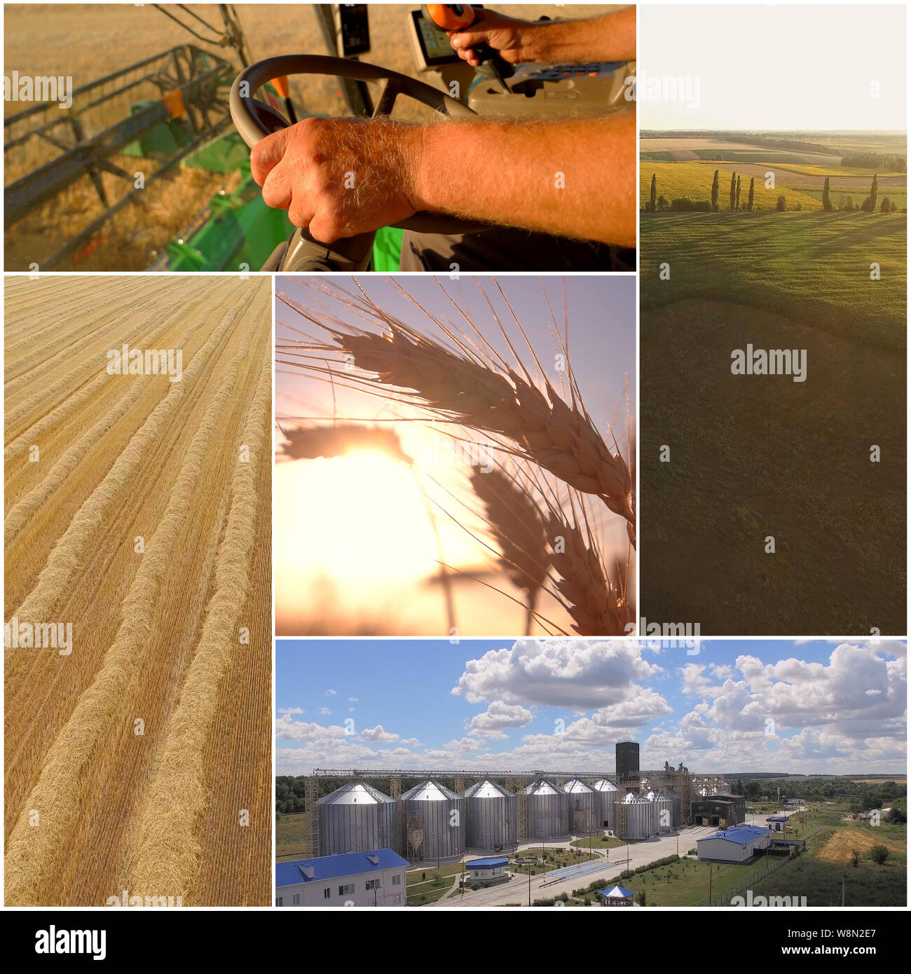 Agricultural collage hi-res stock photography and images - Alamy