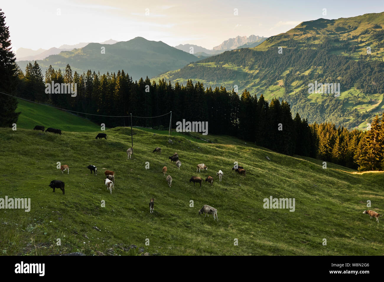 Alpine swiss farm graubunden switzerland hi-res stock photography and ...